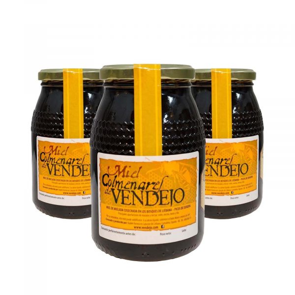 Visita a Centro de apiturismo Colmenares de Vendejo