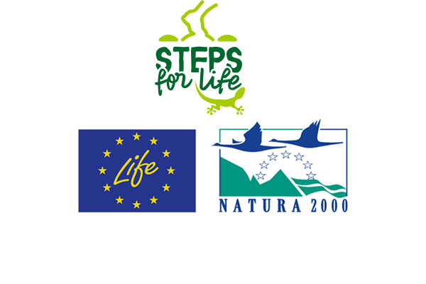 Steps for LIFE