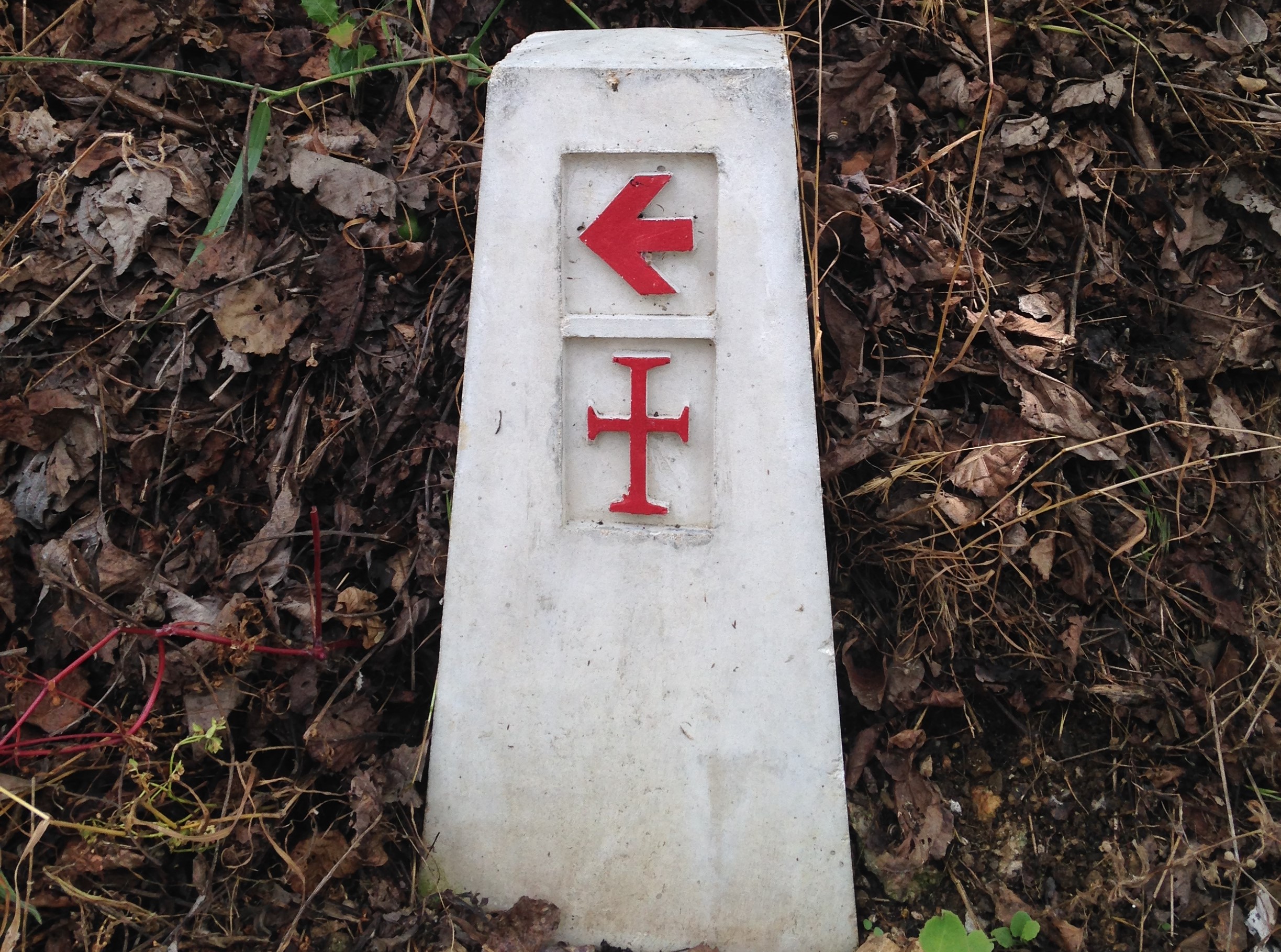 Rumbo a Santo Toribio